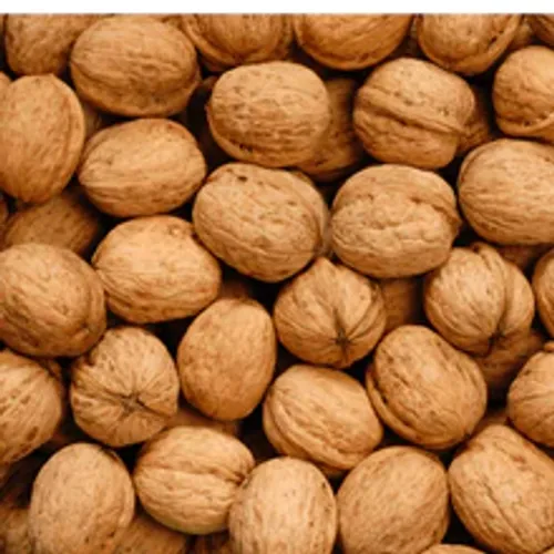 Unshelled Walnuts (Akhrot) Buy Online at Best Prices in India Unshelled Walnuts (Akhrot) Buy Online at Best Prices in India